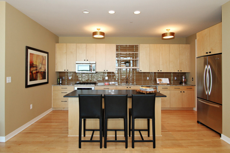 MN Kitchen Design Ideas - Modern - Kitchen - Minneapolis - by Laurie ...