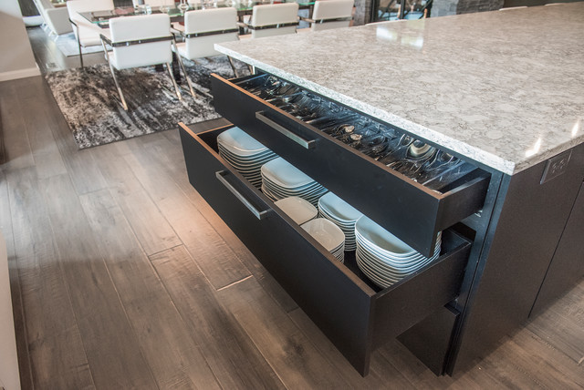 Modern & Functional - Contemporary - Other - by Cabinet Concepts by ...