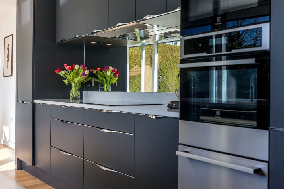 Modern Matte Kitchen Design - Modern - Kitchen - Dublin - by Tierney ...