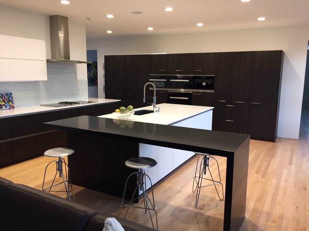 Modern SieMatic Kitchen. - Contemporary - Kitchen - Chicago - by ...