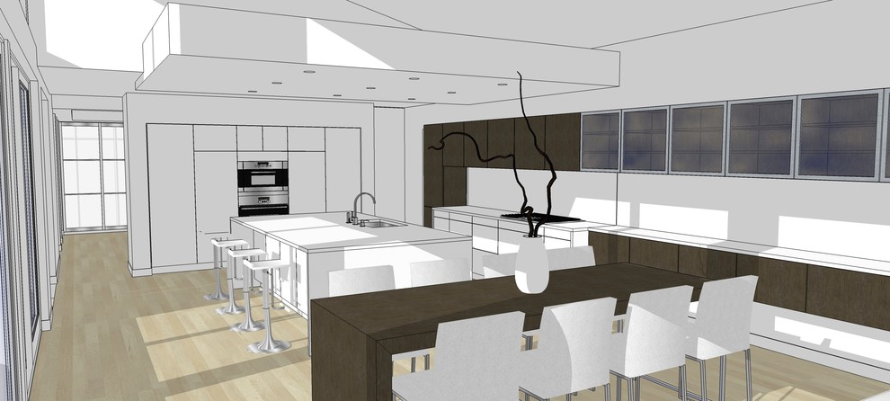 Modern Suburban Ranch Home - Modern - Kitchen - Chicago - by Ballack ...