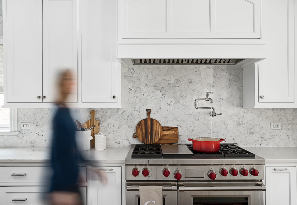 MrGreensInCharge - Transitional - Kitchen - Chicago - by Amy Storm ...