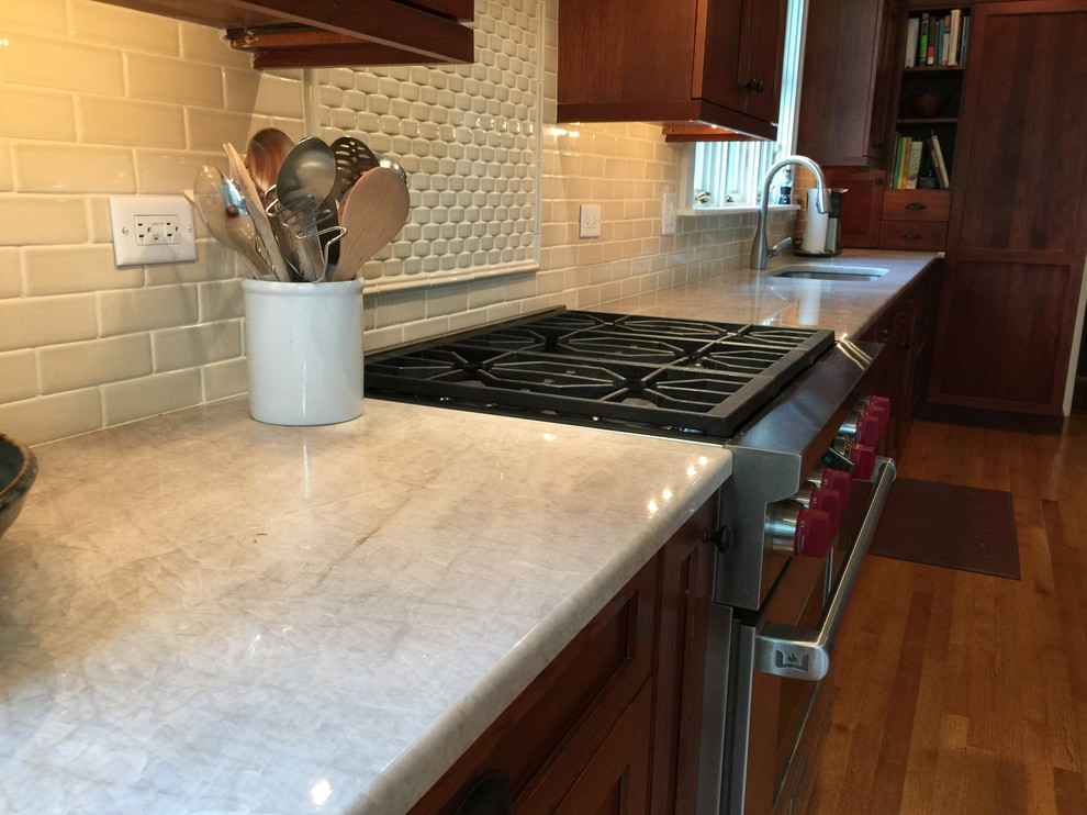 Mueller Kitchen Renovation - Traditional - Kitchen - Chicago - by ...