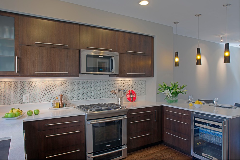 Navy Yard DC Kitchen - Contemporary - Kitchen - DC Metro - by Valery ...