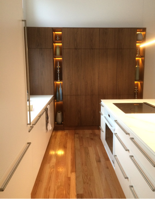 Our Portfolio - Contemporain - Cuisine - Toronto - par Michelle Design ...