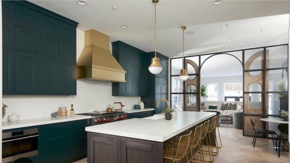 Our Work in Windy City Rehab - Transitional - Kitchen - Chicago - by ...