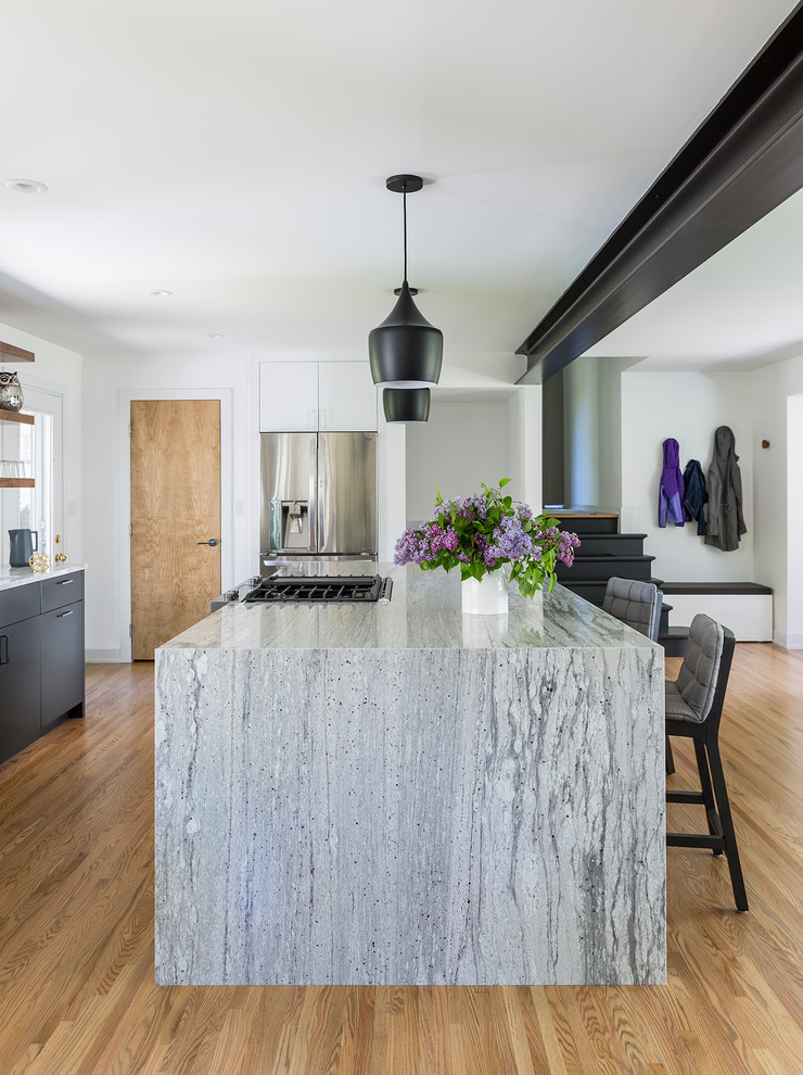 PAMELA PARK KITCHEN - Modern - Kitchen - Minneapolis - by Kate Roos ...