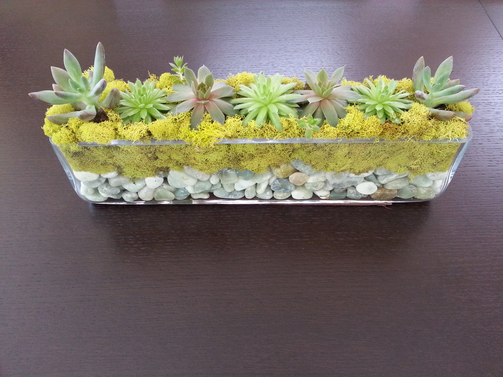 Plant Design - Modern - Kitchen - San Francisco - by The Plant People ...