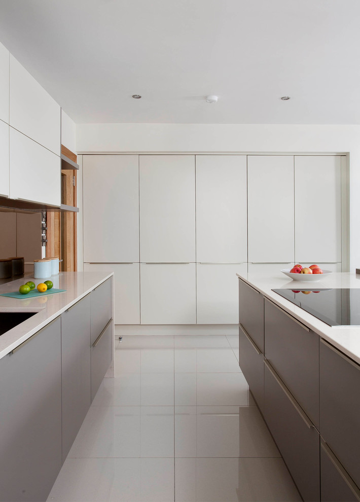Platinum & Ivory - Contemporary - Kitchen - Dublin - by Dillons ...