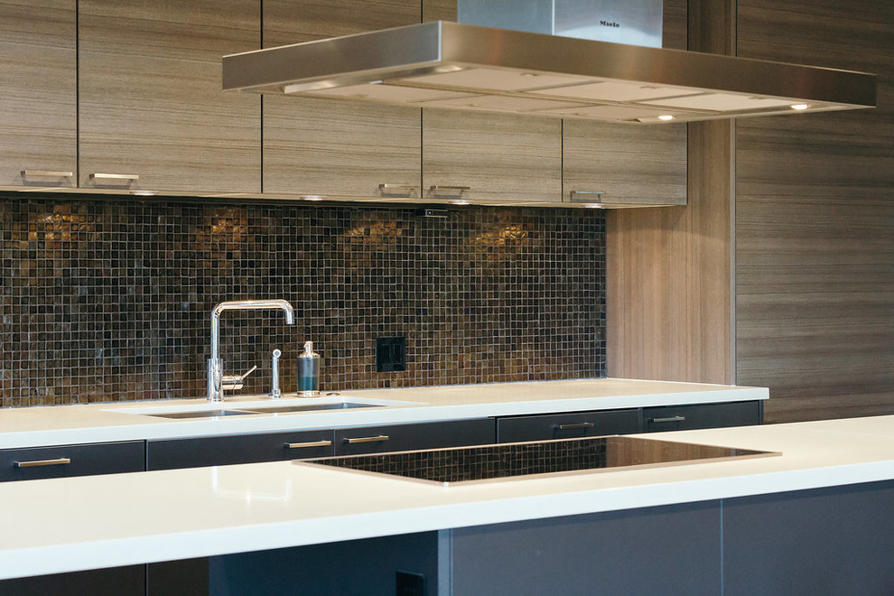 Poggenpohl Kitchen in Bayou Bend Loft - Transitional - Kitchen ...