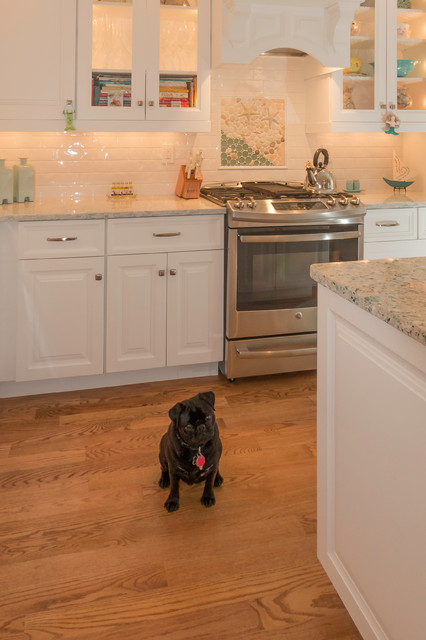 Pogo's Kitchen - Coastal - Kitchen - New York - by Cindy Kelly Kitchen ...