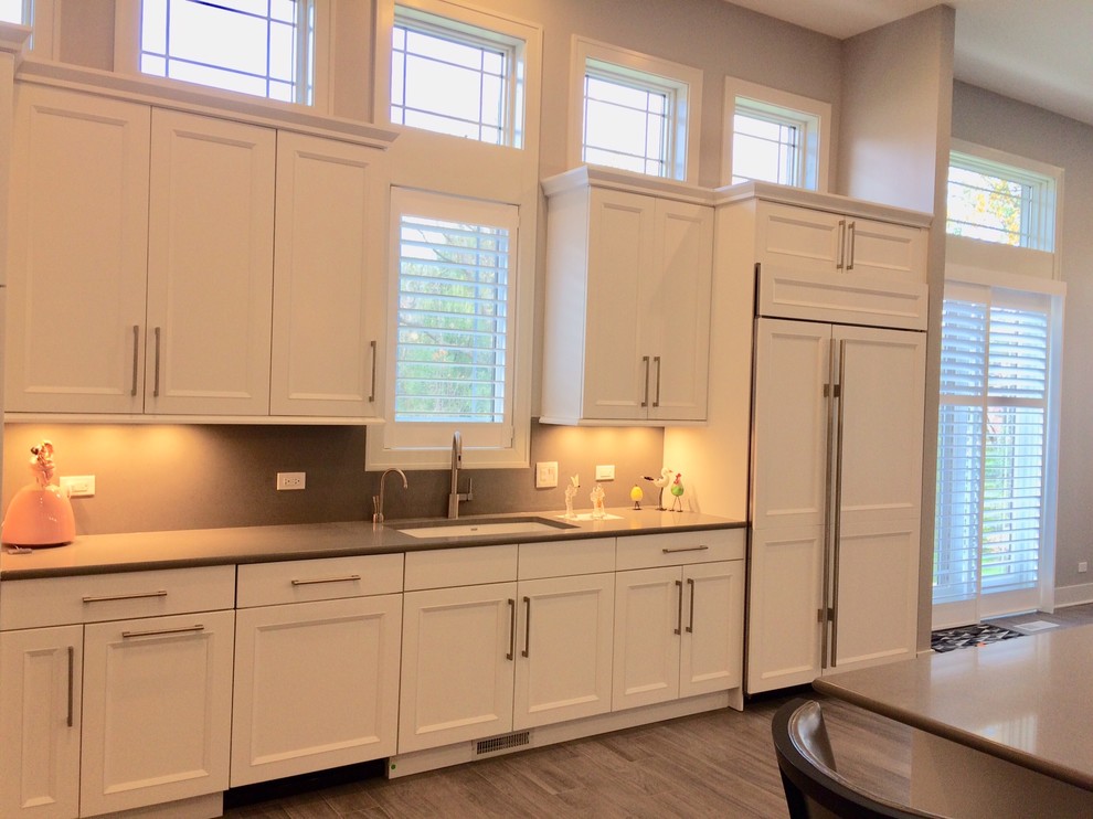 Prairie Style Home - Modern - Kitchen - Chicago - by Red Seal Homes | Houzz