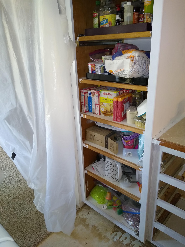 Pull outs shelves make pantry more useful - Contemporary - Kitchen ...