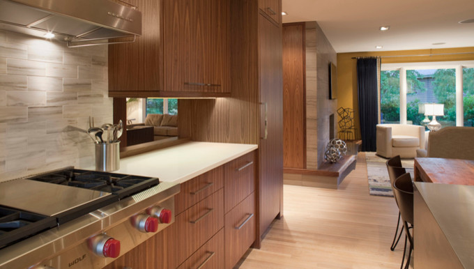 Pure and Simple - Contemporary - Kitchen - Minneapolis - by Eminent ...
