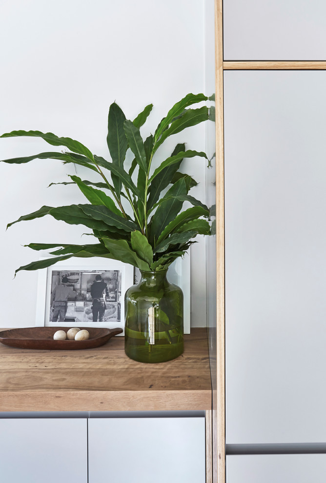 RANDWICK KITCHEN - Contemporary - Kitchen - Sydney - by The Designory ...