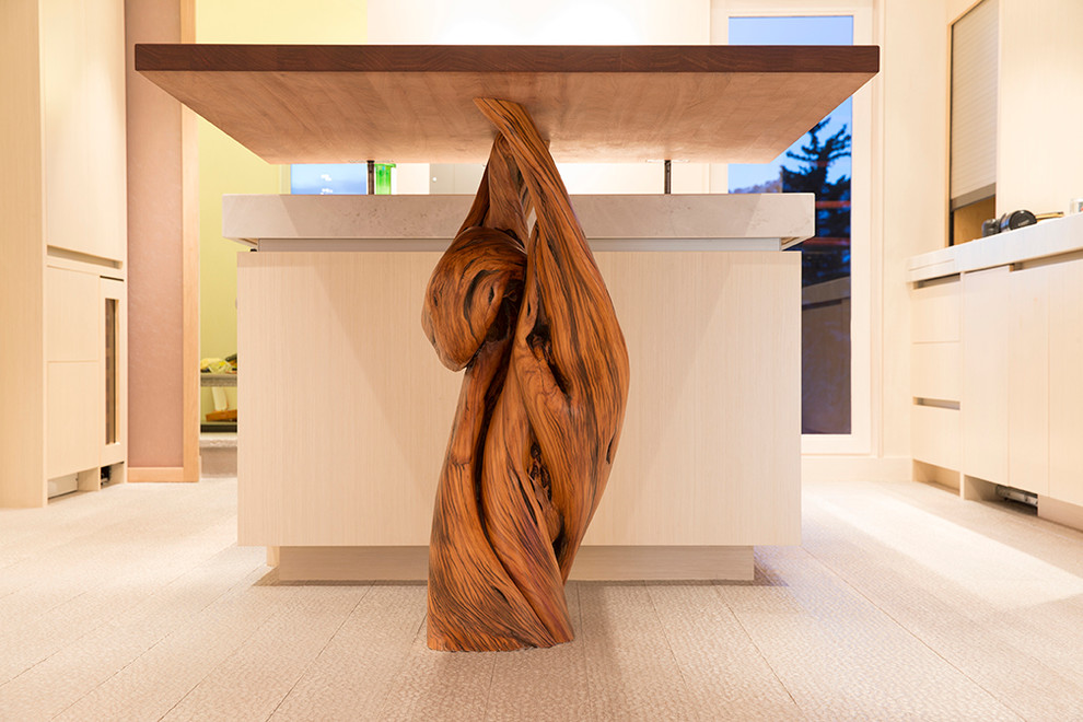 Raptor Tract - Kitchen - Other - by Vera Iconica Architecture | Houzz