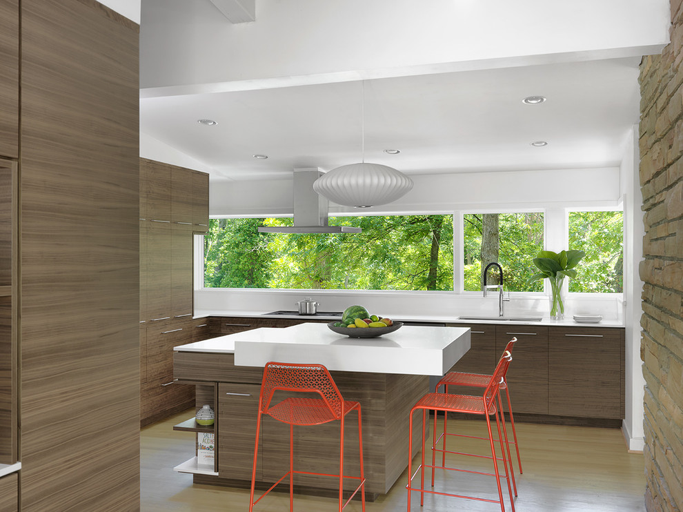 Reframe Renovation - Midcentury - Kitchen - St Louis - by Studio Lark ...