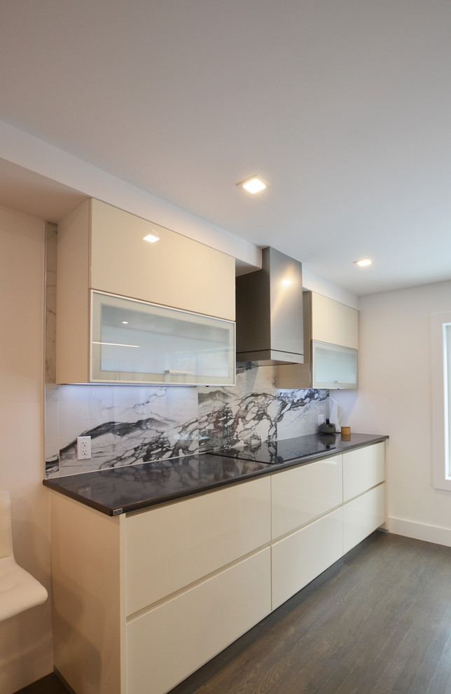 Rideau Canal, 2019 - Modern - Kitchen - Ottawa - by Acco Kitchen and ...