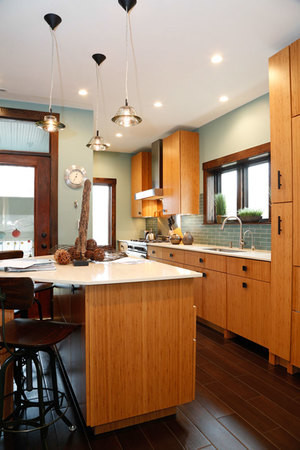 RIVER FOREST CONTEMPORARY BAMBOO KITCHEN - Modern - Kitchen - Chicago ...