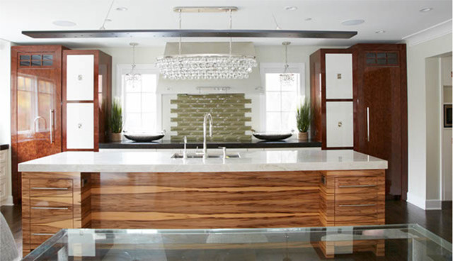 River Forest Modern Exotic Wood Kitchen - Modern - Kitchen - Chicago ...
