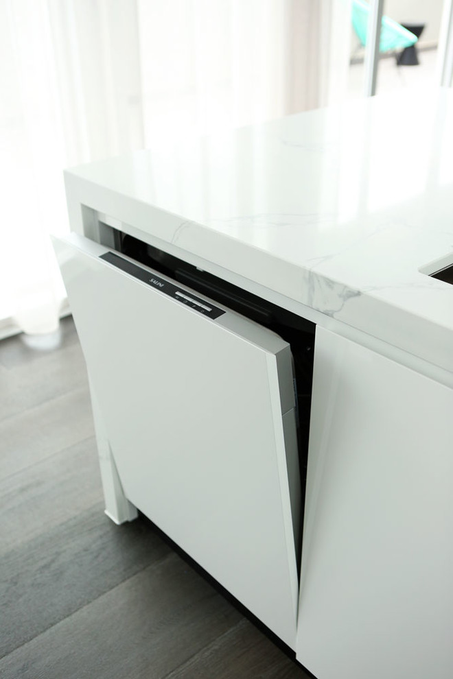 SALINI Fully Integrated Dishwasher in Modern Kitchen - Modern - Kitchen ...