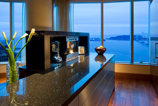 SF Infinity Towers - Contemporary - Kitchen - San Francisco - by Chase ...