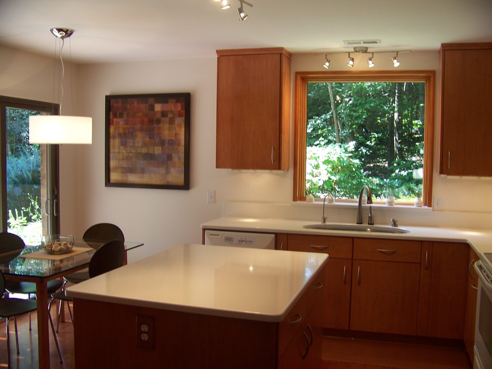 SM Kitchen - Modern - Kitchen - Raleigh - by Decor Coach | Houzz