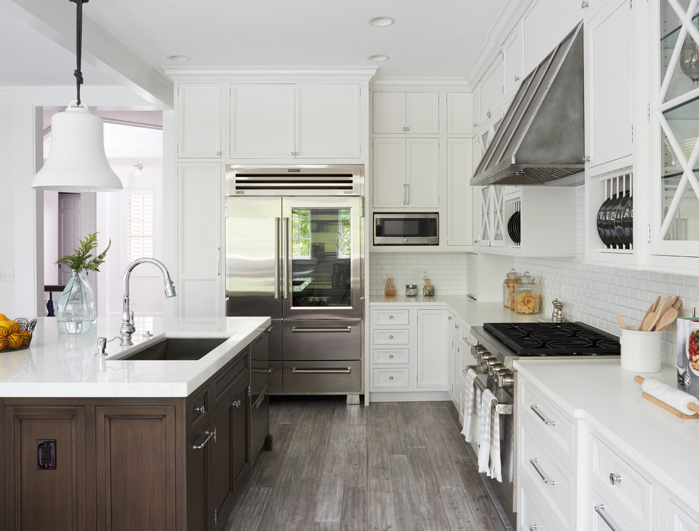 Stunning Beauty and Function - Transitional - Kitchen - Chicago - by ...