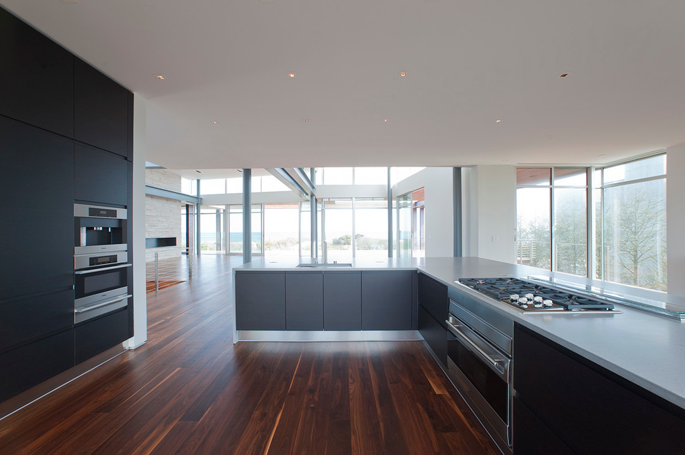 Sub-Zero Wolf 2010-2012 Kitchen Design Contest - Modern - Kitchen - New ...