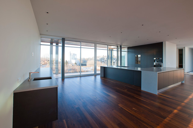 Sub-Zero Wolf 2010-2012 Kitchen Design Contest - Modern - Kitchen - New ...