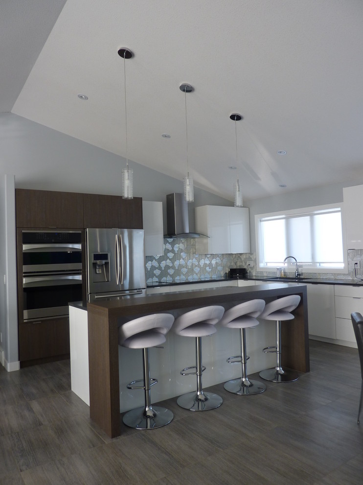 The Superior Cabinets Collection - Modern - Kitchen - Other - by ...