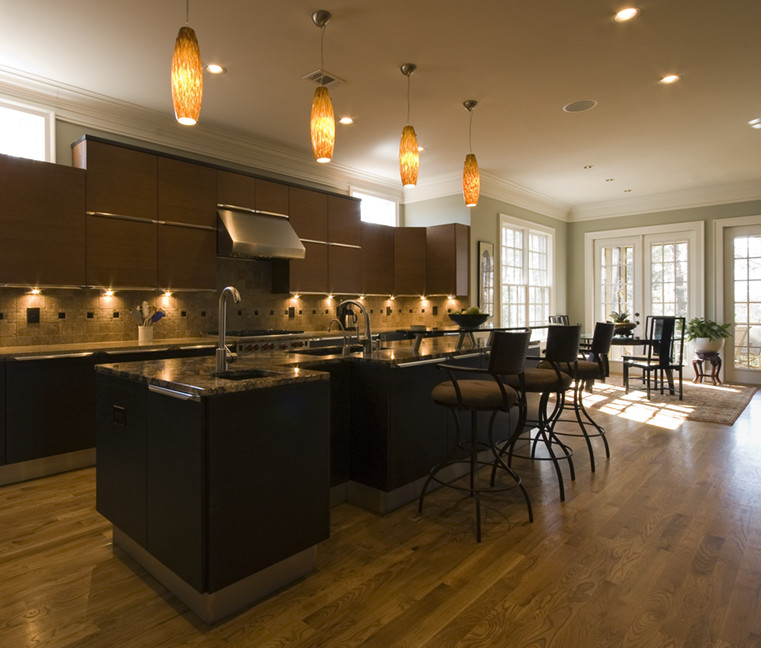 Tour of Kitchens 2009 - Modern - Kitchen - Atlanta - by Bryan2Design ...