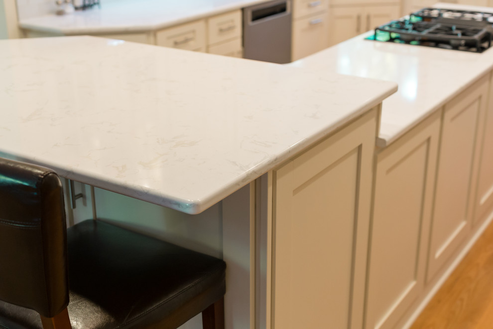 Transitional Kitchen Remodel Done in a Hudson Shaker Door - Clásico ...
