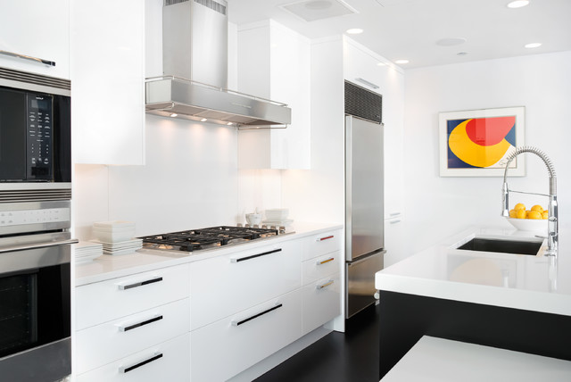 Trump - Contemporary - Kitchen - Chicago - by Dresner Design | Chicago ...