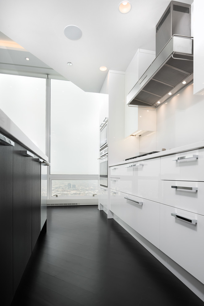 Trump - Contemporary - Kitchen - Chicago - by Dresner Design | Chicago ...