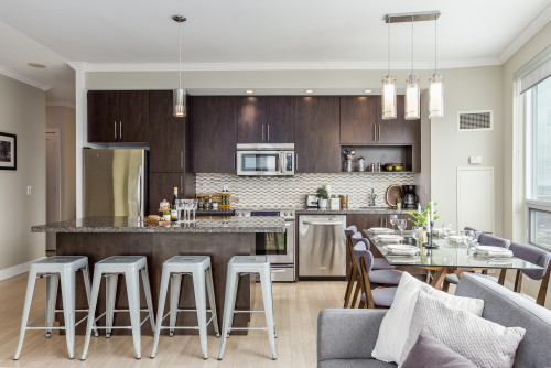47+ Espresso Kitchen Cabinets ( ESPRESSO SHAKER ) Sleek & Modern!