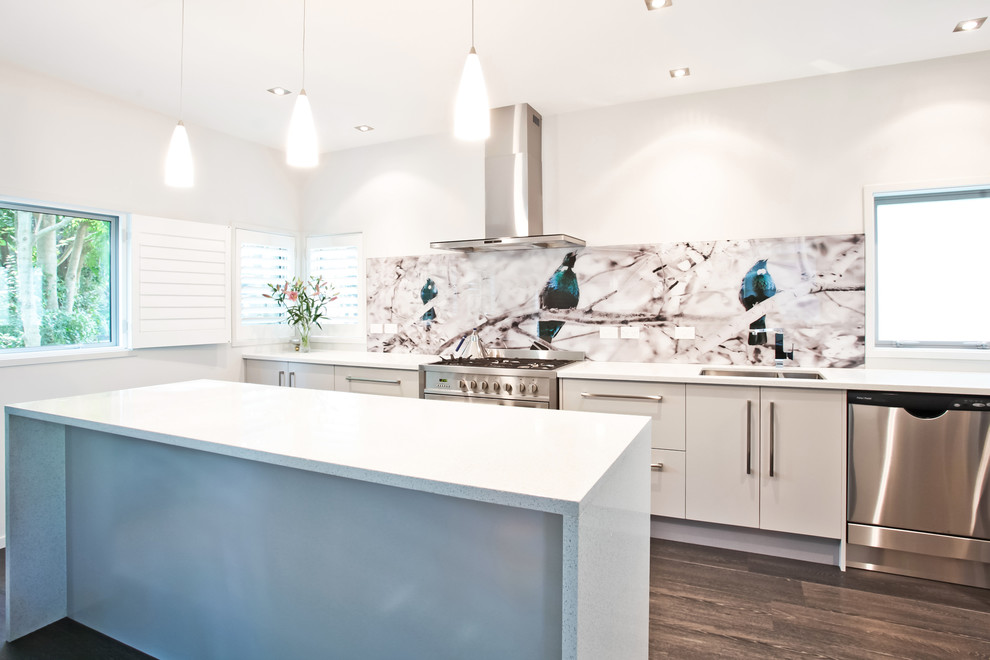 Tui Bird printed image on glass kitchen splashback - Contemporary ...