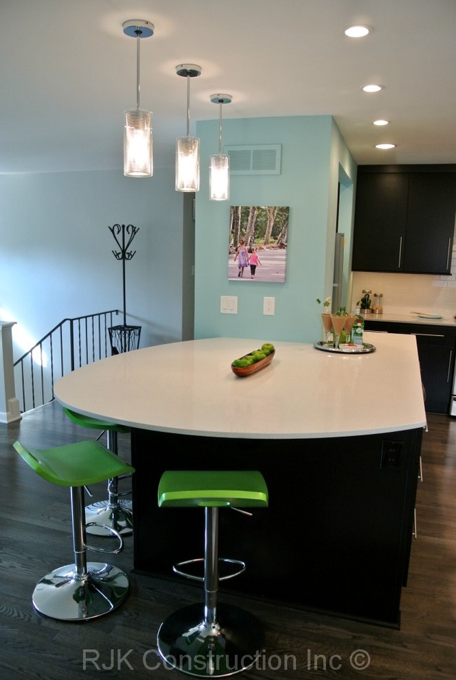 Ultra-Modern Kitchen - Modern - Kitchen - DC Metro - by User | Houzz