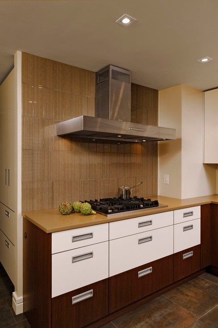 Washington, D.C. - Contemporary - Penthouse Kitchen Design ...