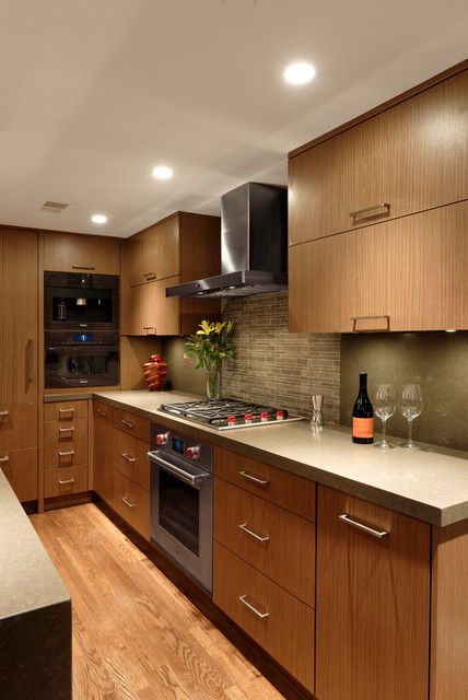 The 100-Square-Foot Kitchen: Fully Loaded, No Clutter