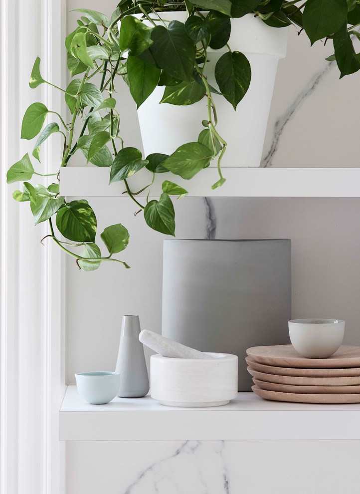 White On White | StatuarioSix+ & Alpine White - Modern - Kitchen ...
