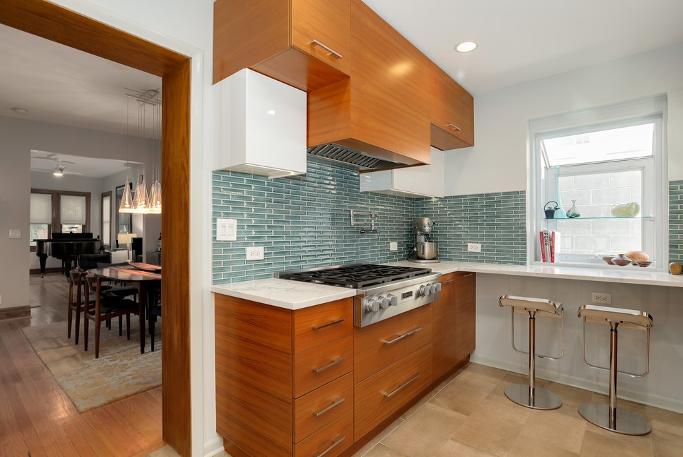 Wicker Park Kitchen & Bathroom Renovation - Midcentury - Kitchen ...