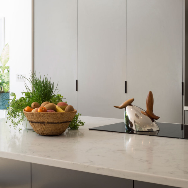 Woodland Pavilion Kitchen Detail - Contemporary - Kitchen - London - by ...