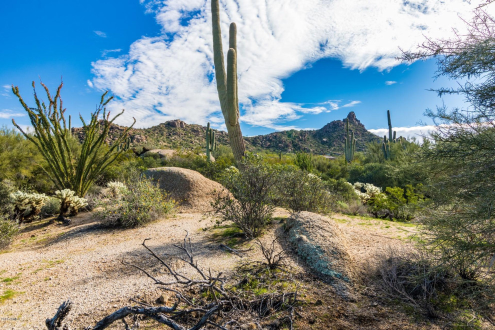 10 Acre Private Estate - American Southwest - Garden - Phoenix - by ...