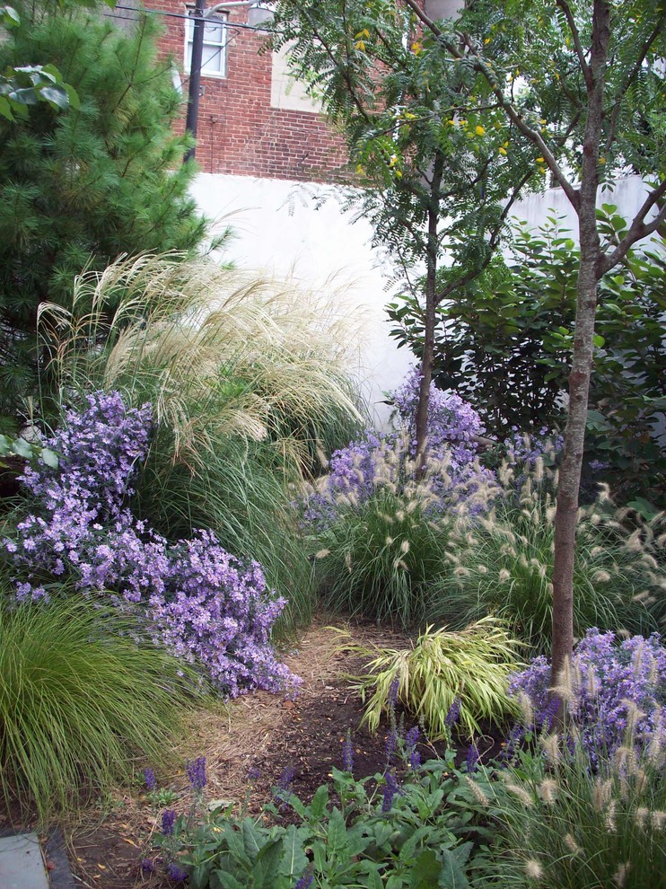 10th Street Forest Garden - Traditional - Landscape - Philadelphia - by ...