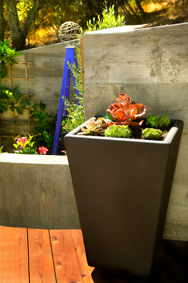 2012 Sunset Idea House Breezehouse - Outdoors - Contemporary ...