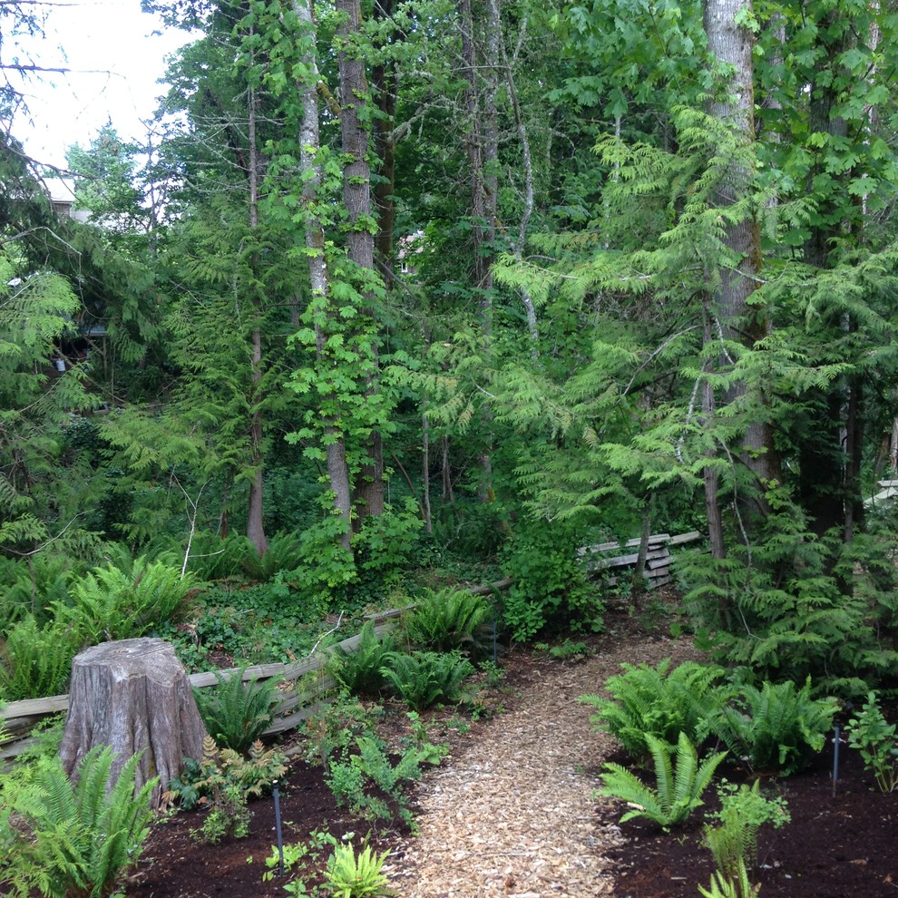 2016 BC Native Plants planting a year later - Rustic - Landscape ...
