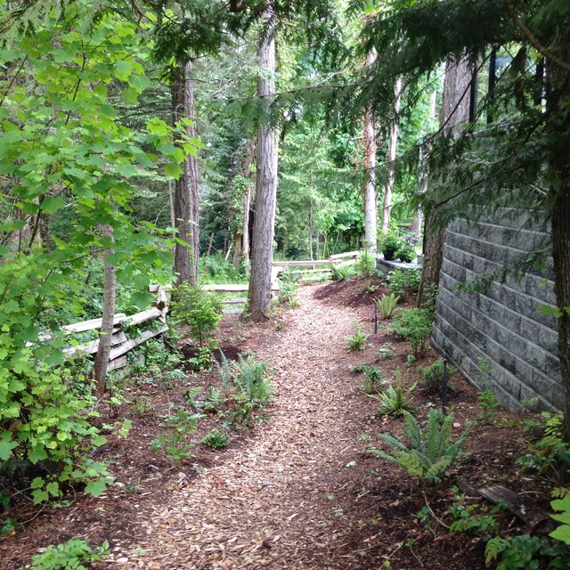 2016 BC Native plants planting a year later - Montagne - Jardin ...