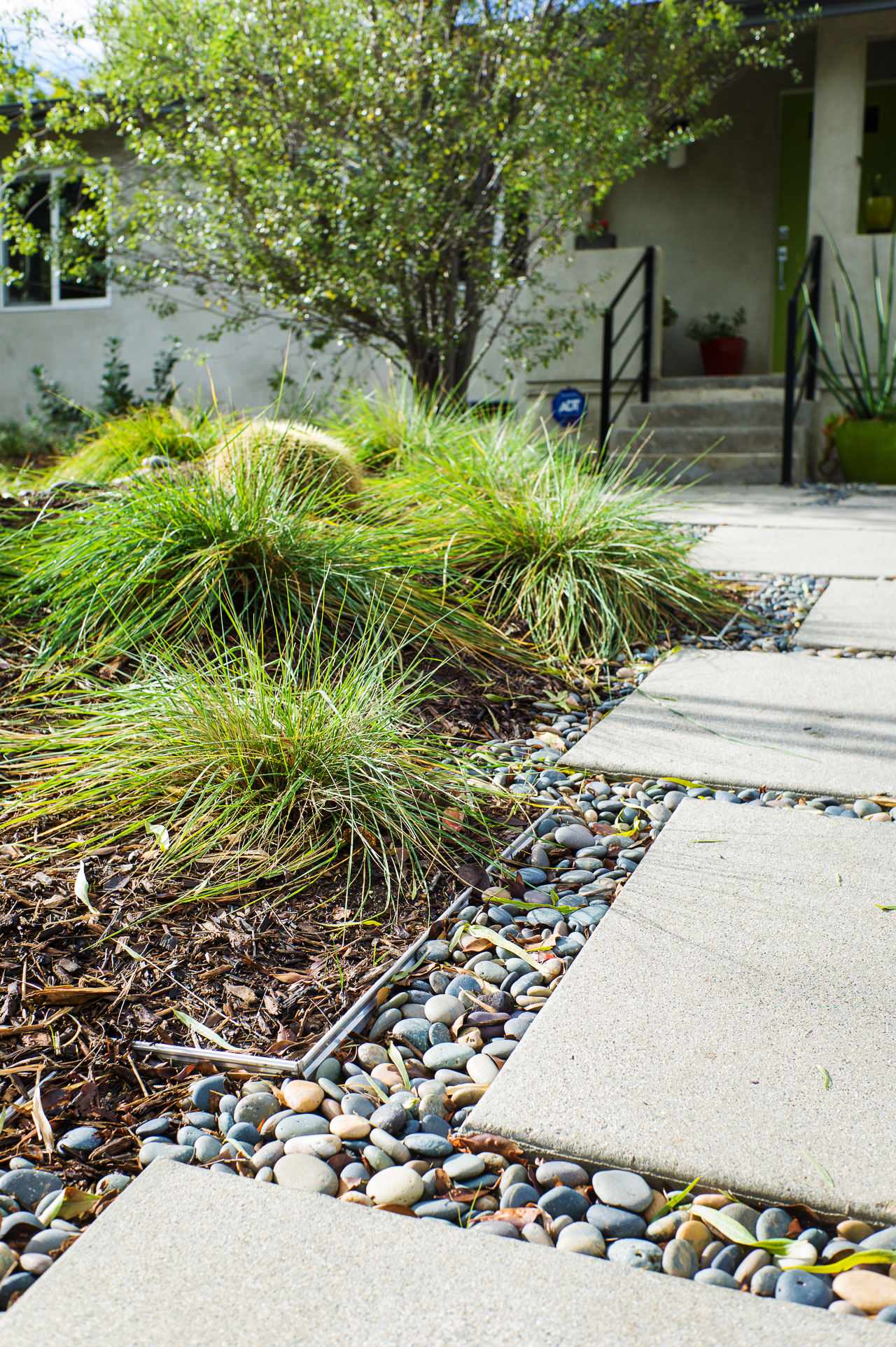5 Things to Know About Weeding and Mulching Your Native Garden