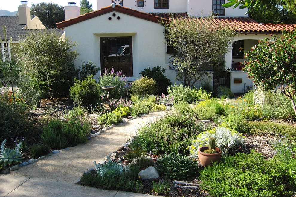 Native Plants Bring 10 Southern California Front-Yard Gardens to Life